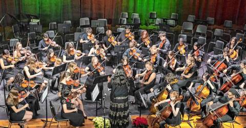WVHS Chamber Orchestra to participate in master class