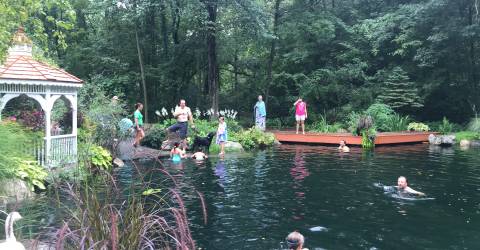 ‘Swim with the Fish’ pond tour set for June 21