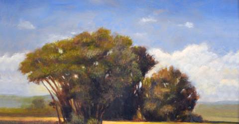 Fedigan and Friends art exhibit