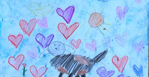PIE students encourage pet adoption with poetry and drawings