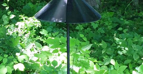 Albert Wisner Public Library creates a multi-sensory birding experience ...