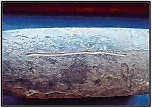 Residents asked to aid in identifying lead service lines