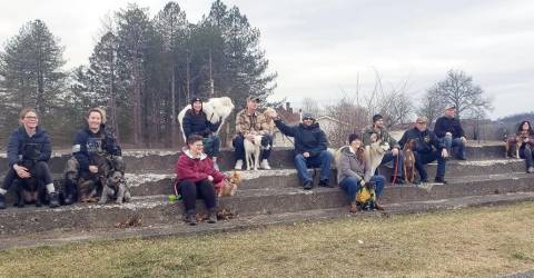 Warwick. Pawsitive Pack Walks help dogs and owners socialize