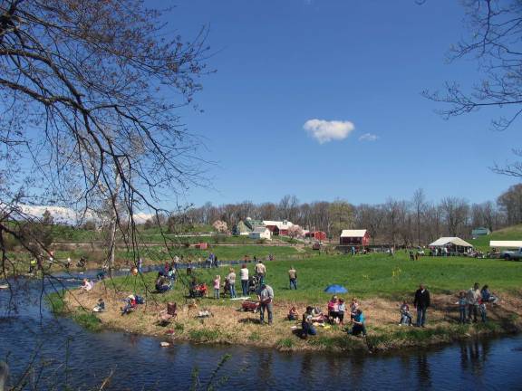 Fish stories begin here